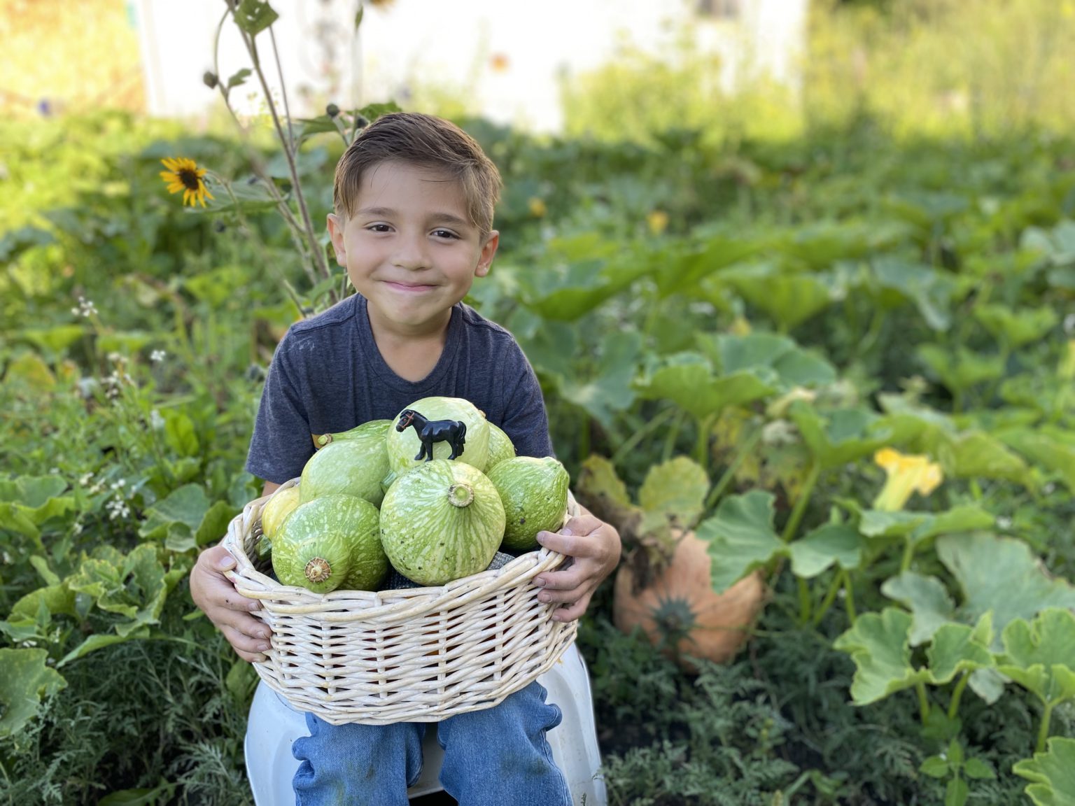 New Mexico Acequia Association Blog