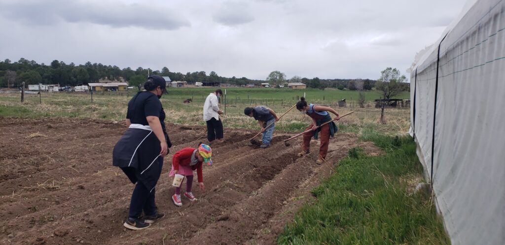 Celebrating the Success of the 2022 & 2023 Los Sembradores Farm ...