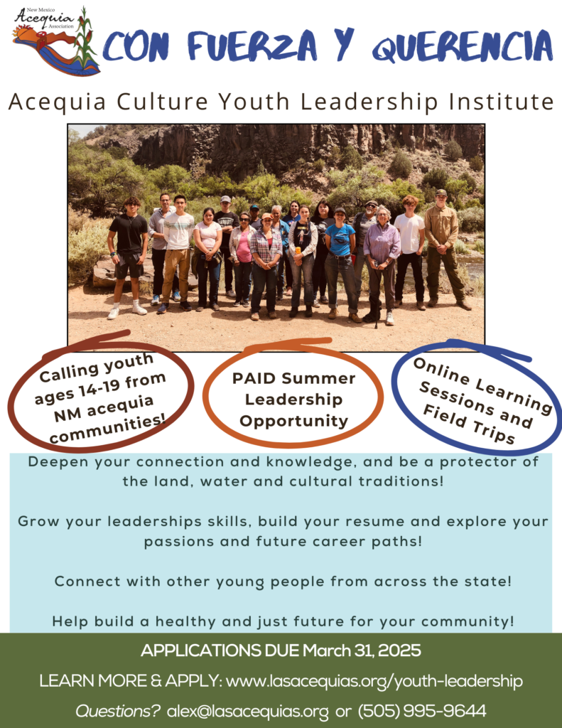 2025 YLI Flier Draft 3